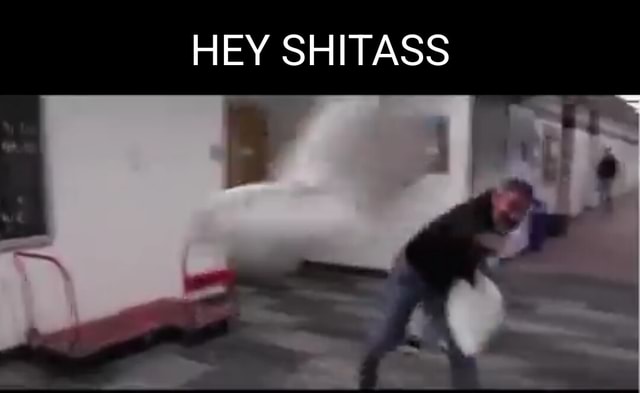 Hey Shitass Ifunny