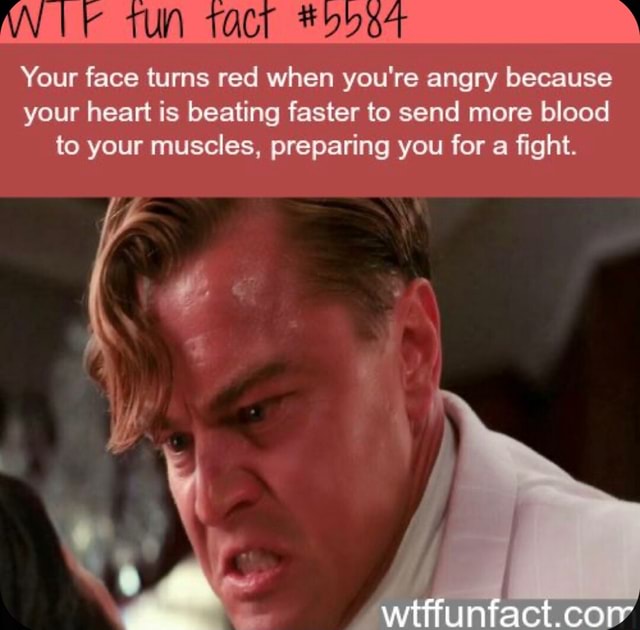 AN TUN Your face turns red when you're angry because your heart is ...