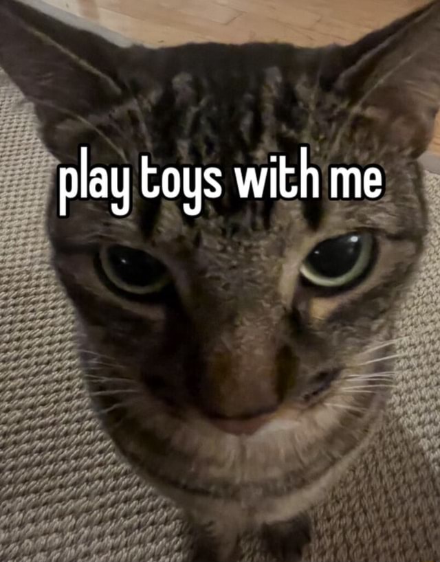 Play toys with me - iFunny