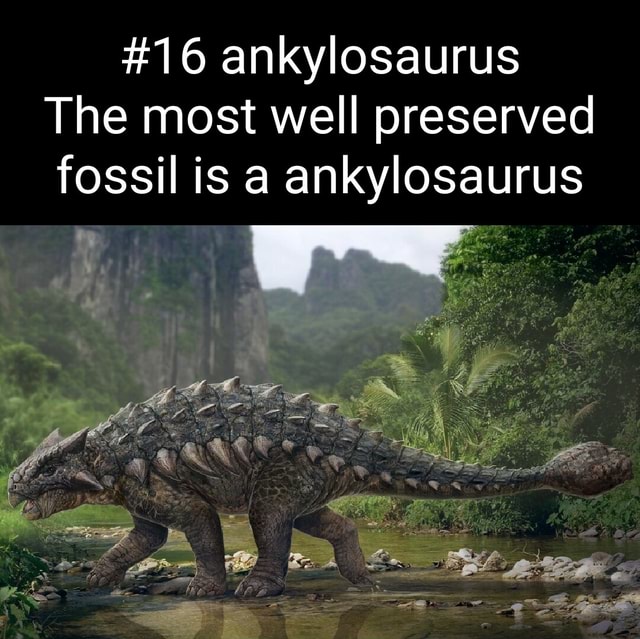 #16 ankylosaurus The most well preserved fossil is a ankylosaurus ORE ...
