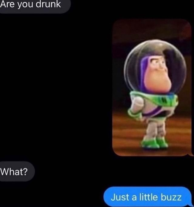 Are you drunk What? Just a little buzz - iFunny