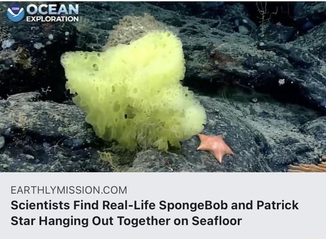 OCEAN EXPLORATION LARTHLYMISSION COM Scientists Find Real-Life ...