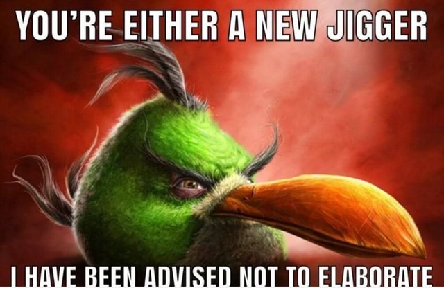 YOU'RE EITHER A NEW JIGGER HAVE BEEN ANVISED NAT TO ELABORATE - iFunny