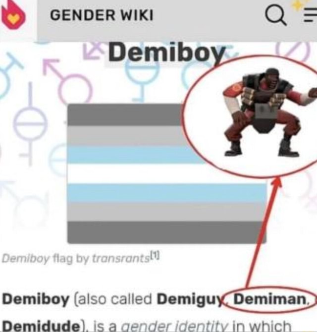 GENDER WIKI Demibo Demiboy flag by transrant Demiboy (also called ...