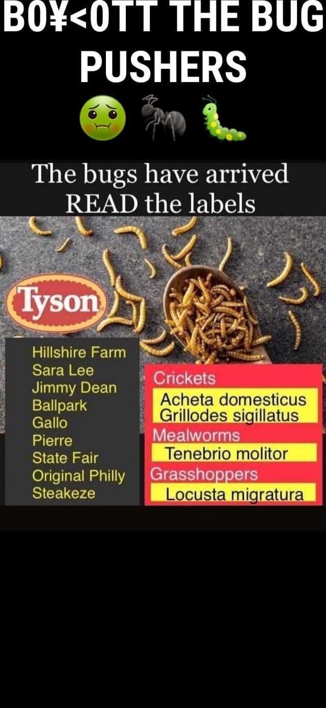 THE BUG PUSHERS The bugs have arrived READ the labels Hillshire Farm ...