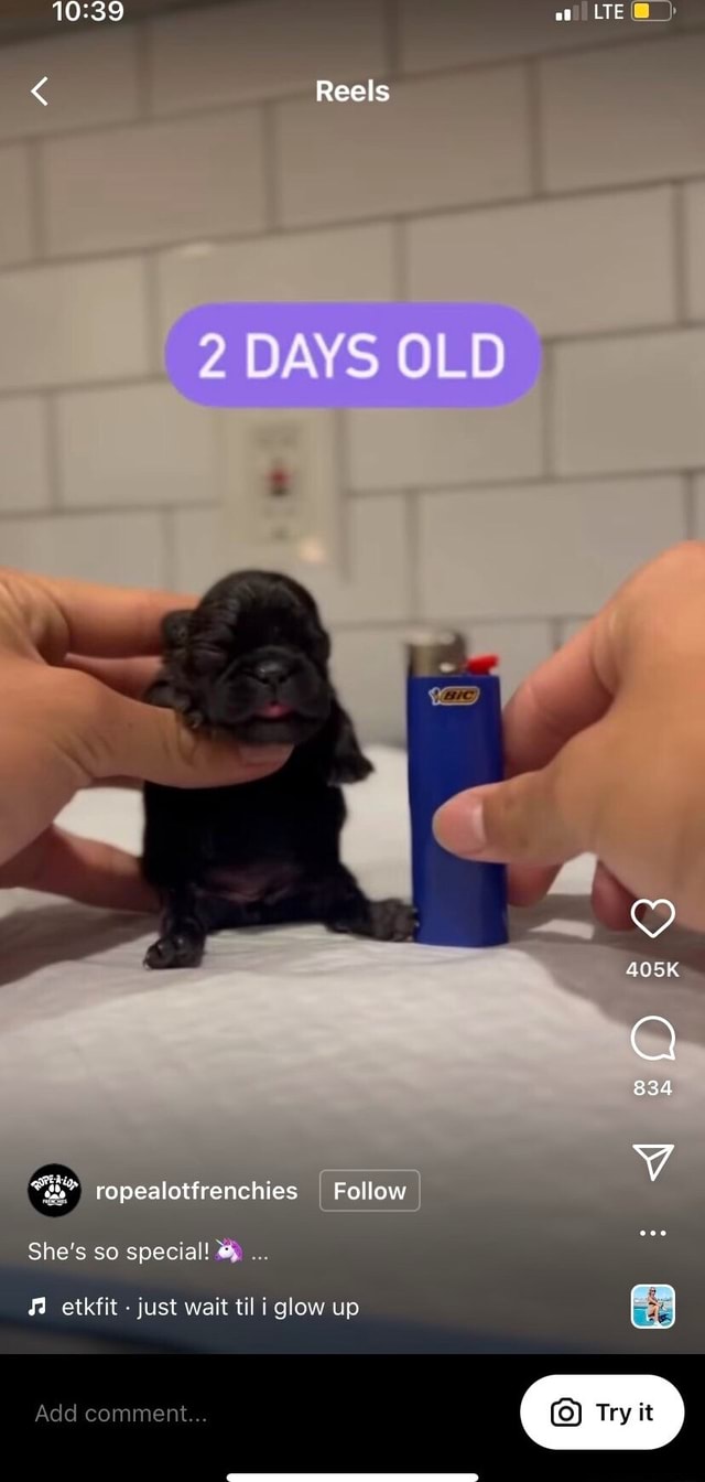 LTE Reels 2 DAYS OLD She's so special! & etkfit - just wait til i glow ...