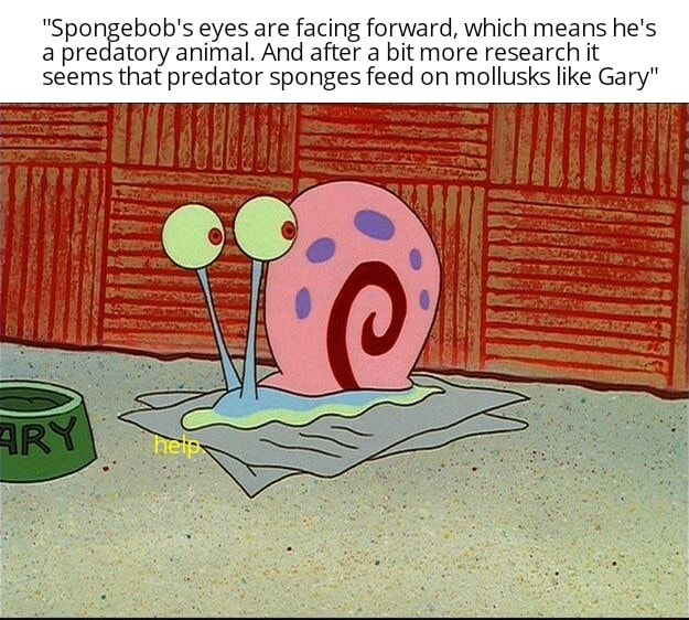 "Spongebob's eyes are facing forward, which means he's a predatory ...