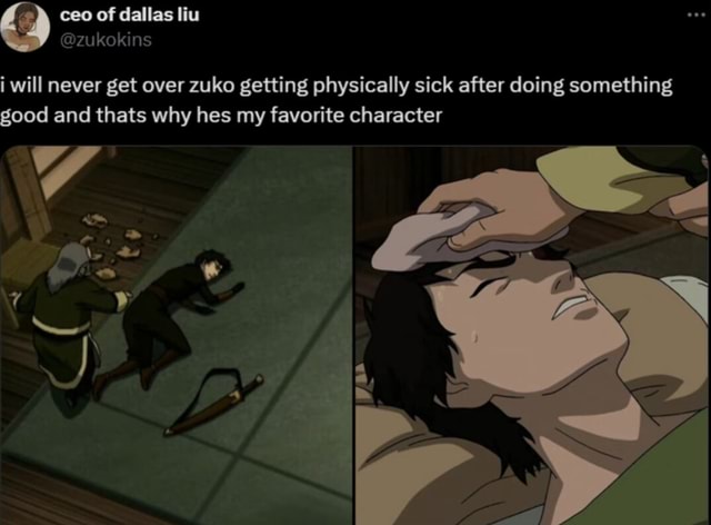 Of dallas liu zukokins i will never get over zuko getting physically ...