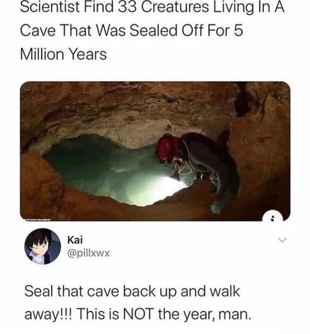 Scientist Find 33 Creatures Living In A Cave That Was Sealed Off For 5 ...