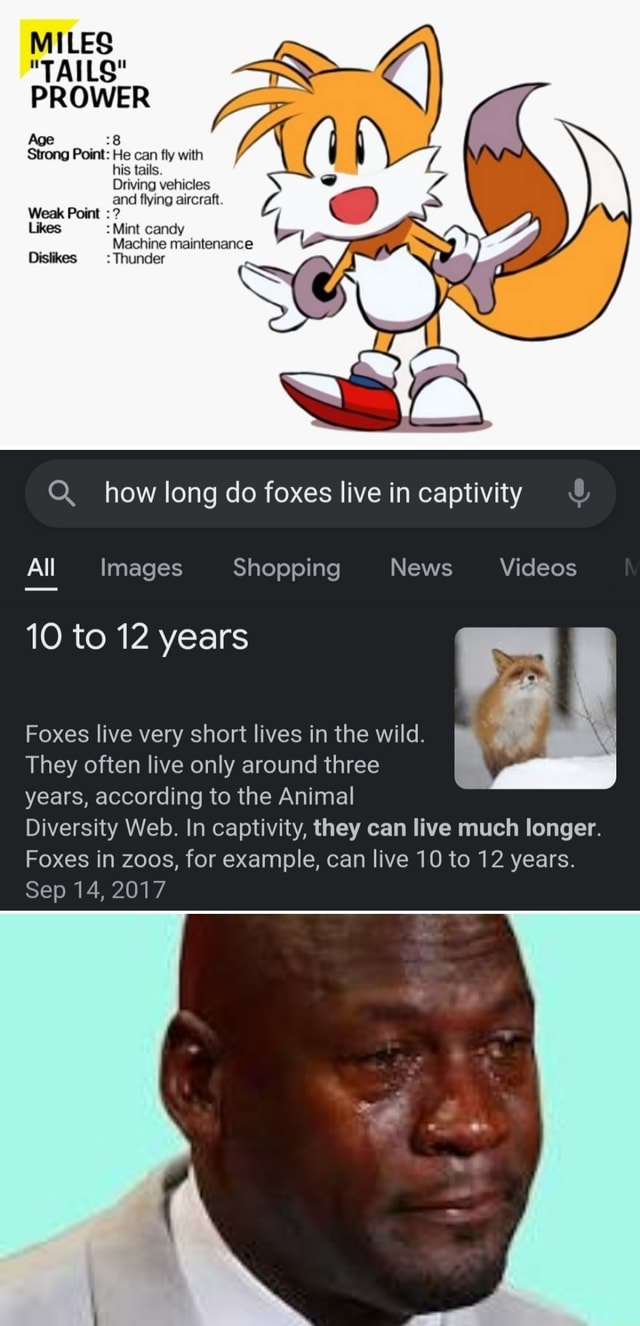 MILES TAILS" PROWER Age :8 Strong Point: He can fly with his tails ...