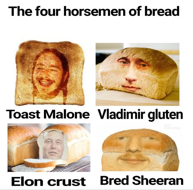 The four horsemen of bread Elon crust Bred Sheeran - iFunny