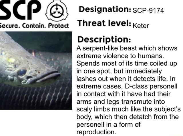 Secure. Contain. Protect Designation: scp-9174 Threat level: Keter ...