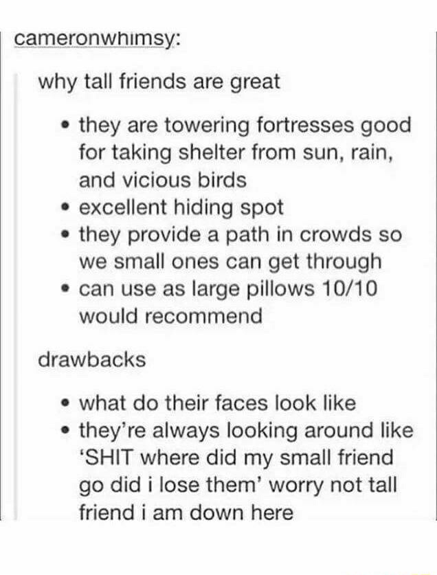 Cameronwnimsy: why tall friends are great they are towering fortresses ...