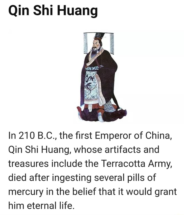 In 210 B.C., the flrst Emperor of China, Qin Shi Huang, whose artifacts ...