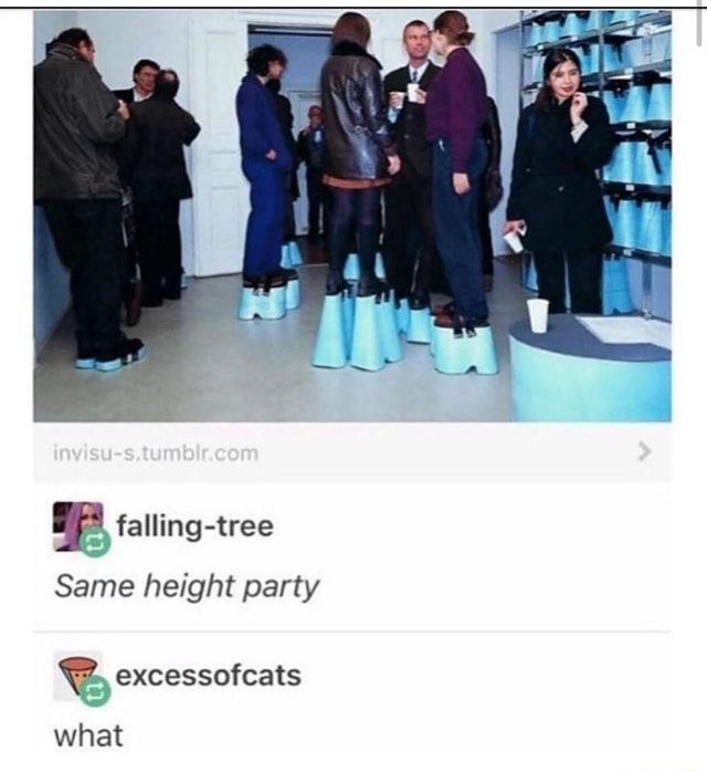 Same height party what - iFunny
