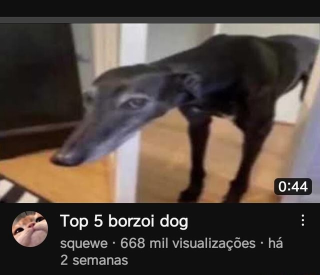 Top 5 borzoi dog squewe 668 mil visualizagoes ha 2 semanas - seo.title
