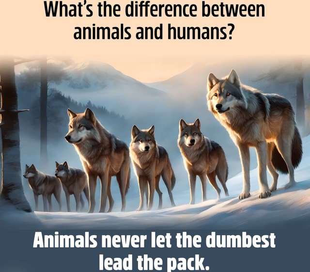 What's the difference between animals and humans? We Animals never let ...