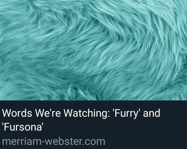 Words We're Watching: 'Furry' and 'Fursona' merriam-webster.com - iFunny