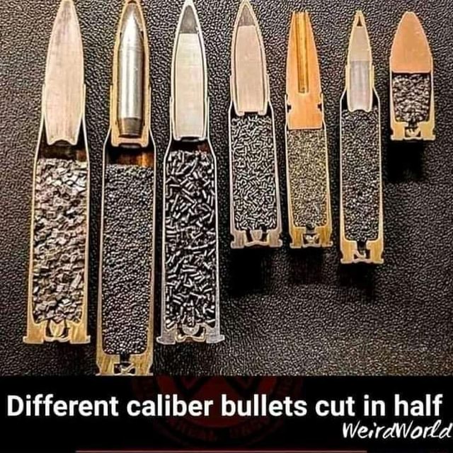Different caliber bullets cut in half We. - iFunny