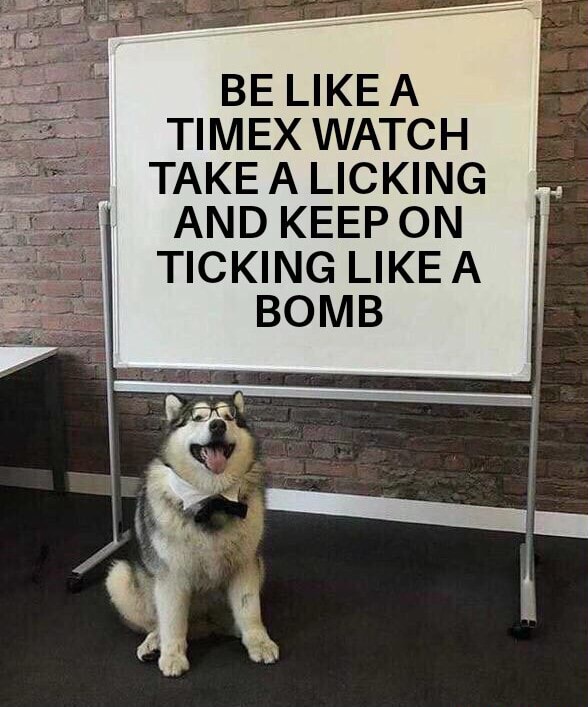 BE LIKEA TIMEX WATCH TAKE A LICKING AND KEEP ON TICKING LIKE A BOMB ...