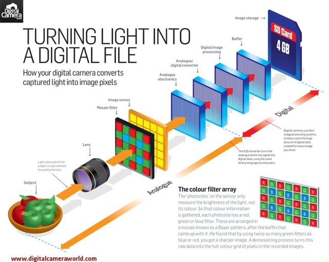 TURNING LIGHT INTO A DIGITAL FILE How your digital camera converts ...