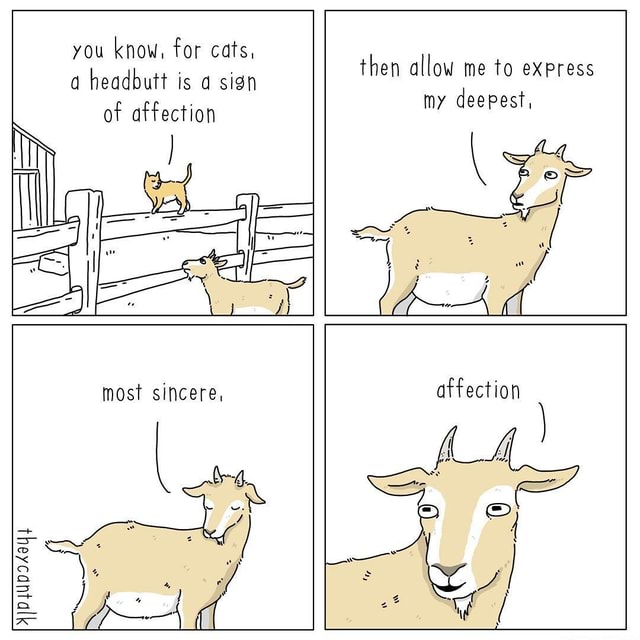 Run kitty run! 🏻 @theycantalkcomics - #cat #goat #headbutt #comic #9gag ...