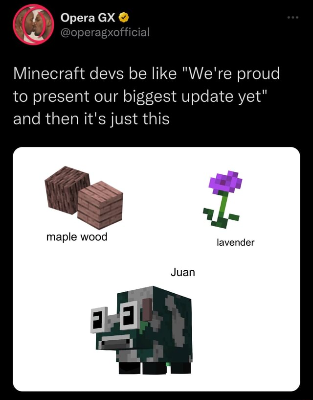 Opera GX Minecraft devs be like "We're proud to present our biggest ...