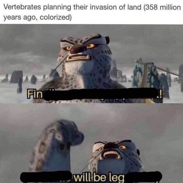 A stash of stolen memes to dump - Vertebrates planning their invasion ...