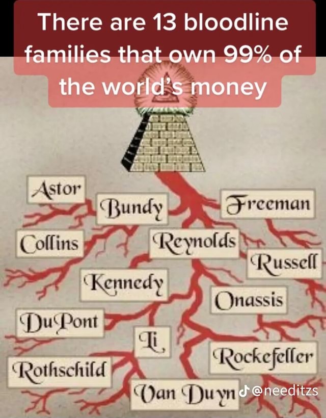 There are 13 bloodline families that own of the worlds money Astor ...
