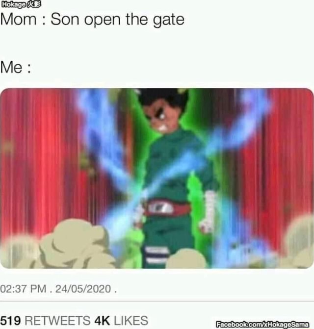 Mom : Son open the gate Me: PM . . 519 RETWEETS LIKES - iFunny