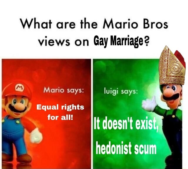 What are the Mario Bros Mario says: luigi says: I 'ably Equal rights ...