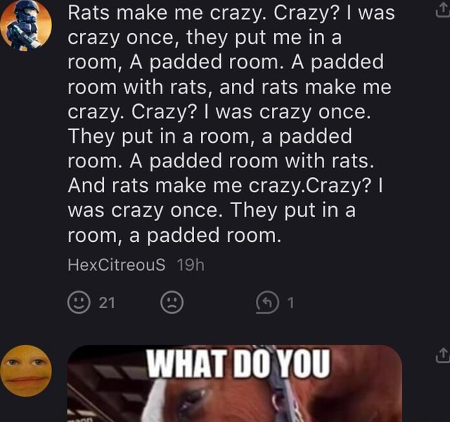 Rats make me crazy. Crazy? I was crazy once, they put me ina room, A ...