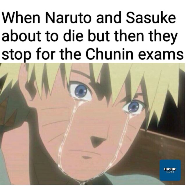 When Naruto and Sasuke about to die but then they stop for the Chunin ...