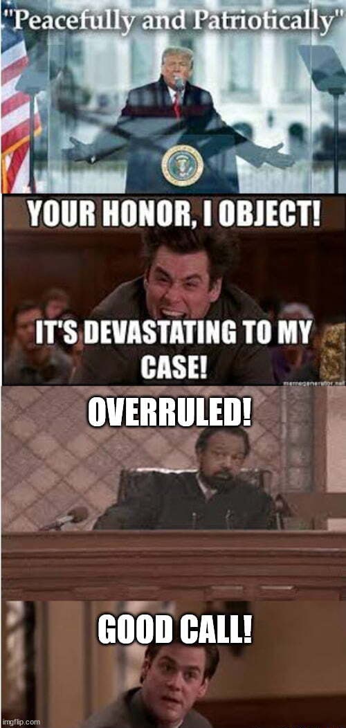 "Peacefully and Patriotically' YOUR HONOR, I OBJECT! IT'S DEVASTATING ...