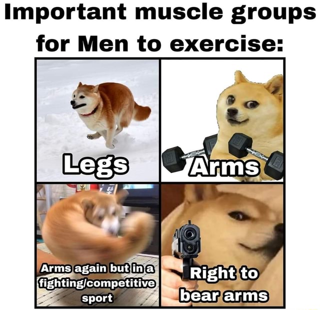 Important muscle groups for Men to exercise: Arms again )but Right to ...