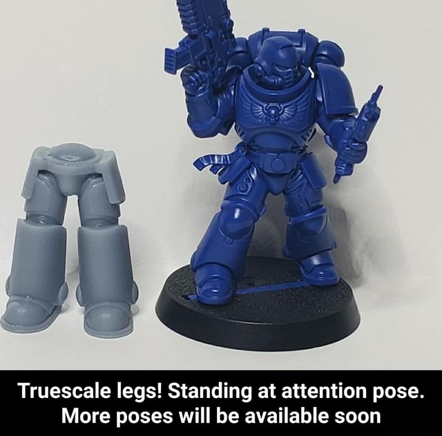 Truescale legs! Standing at attention pose. More poses will be ...