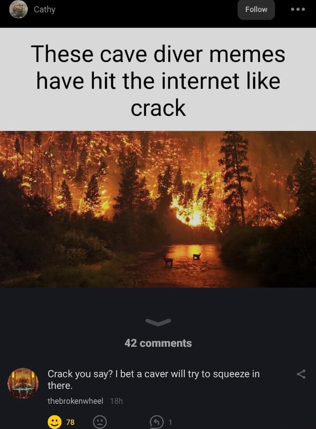 Cathy Follow These cave diver memes nave hit the internet like crack af ...