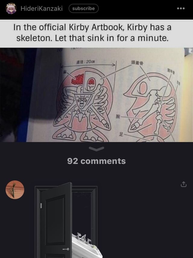 HideriKanzaki (subscribe In the official Kirby Artbook, Kirby has a ...