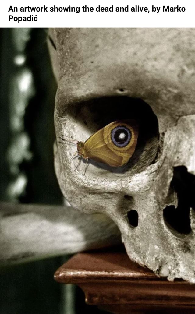 An artwork showing the dead and alive, by Marko Popadi - iFunny