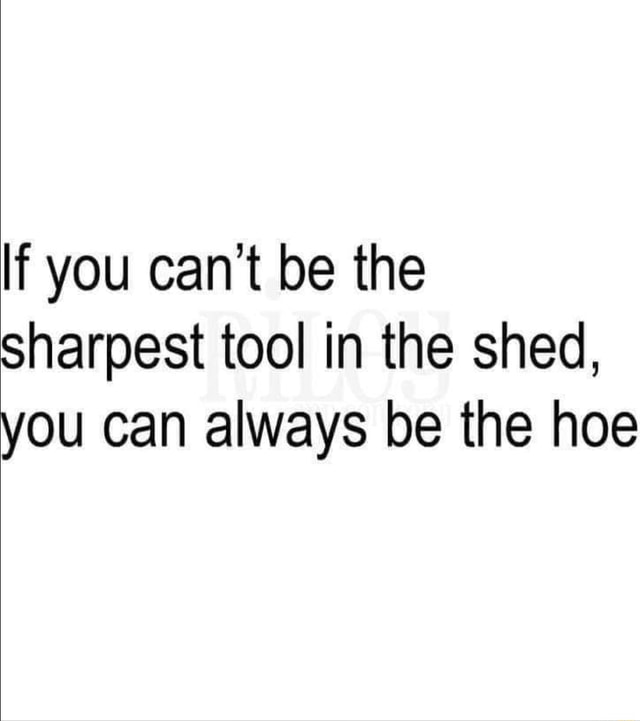 If you can't be the sharpest tool in the shed, you can always be the ...
