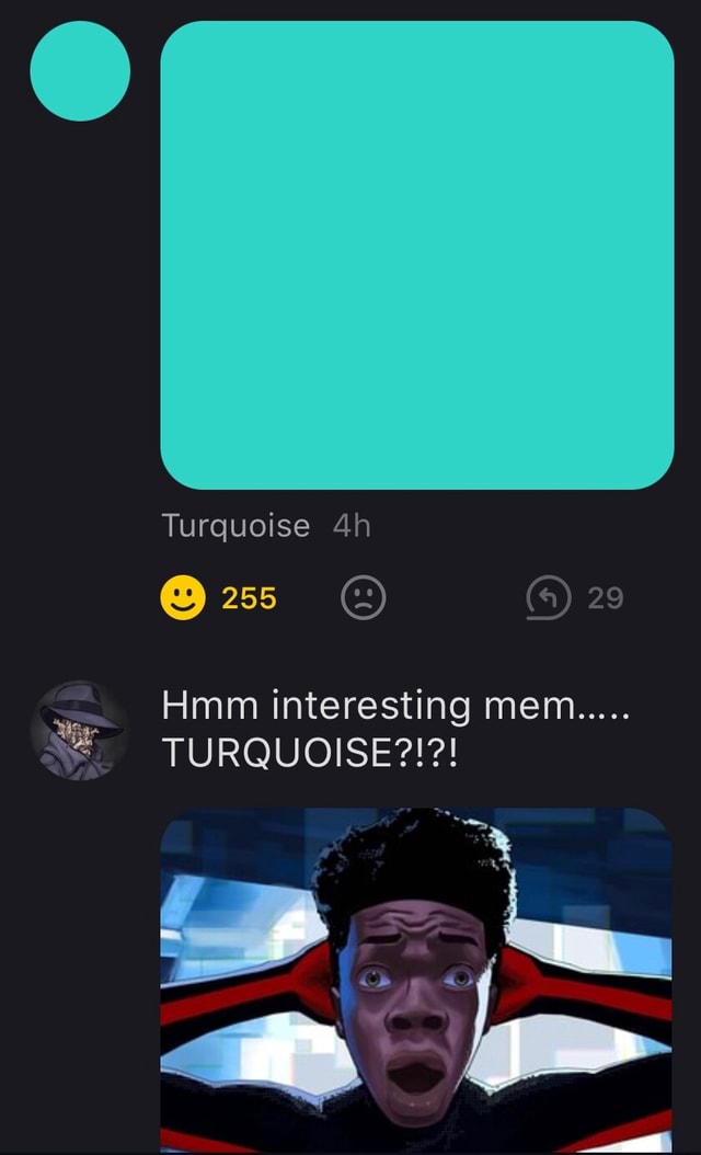 We Turquoise 29 Hmm interesting mem..... TURQUOISE?!?! - iFunny
