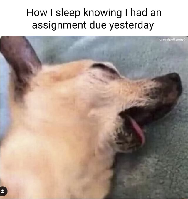 How I sleep knowing I had an assignment due yesterday - iFunny