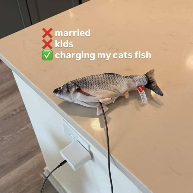 Married kids charging my cats fish - iFunny