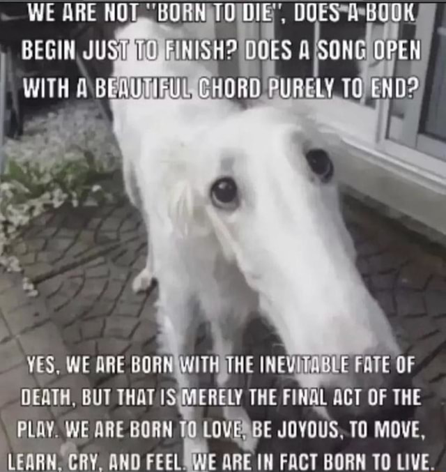 WE ORE "BORK TU BEGIN JUST TG OES SONG WITH BERUMFUL CHORD PURGLY HES ...