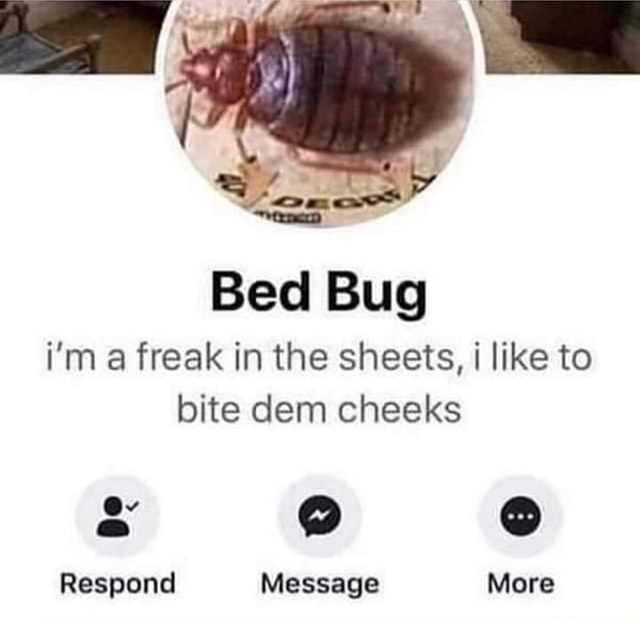 Bed Bug i'm a freak in the sheets, i like to bite dem cheeks - iFunny