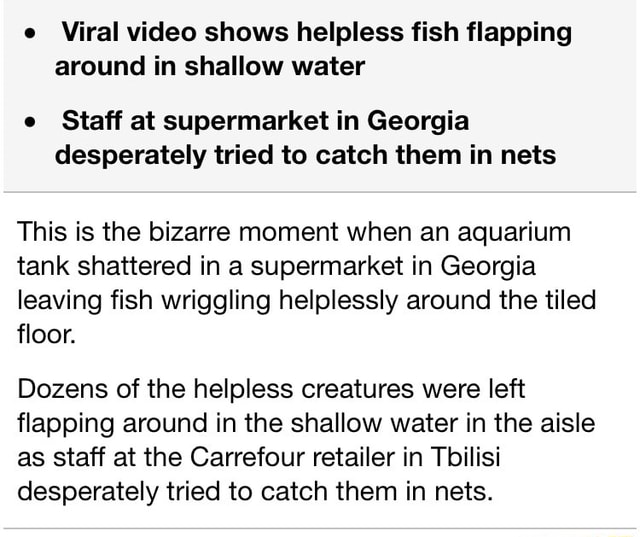 E Viral video shows helpless fish flapping around in shallow water e ...