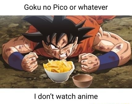 Goku no Pico or whatever I don't watch anime - iFunny