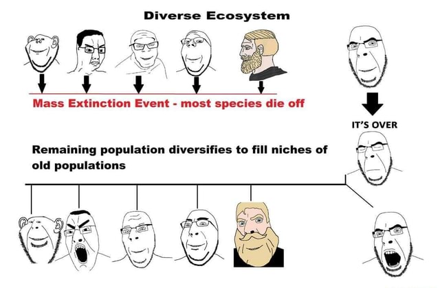 Diverse Ecosystem By Mass Extinction Event - most species die off IT'S ...