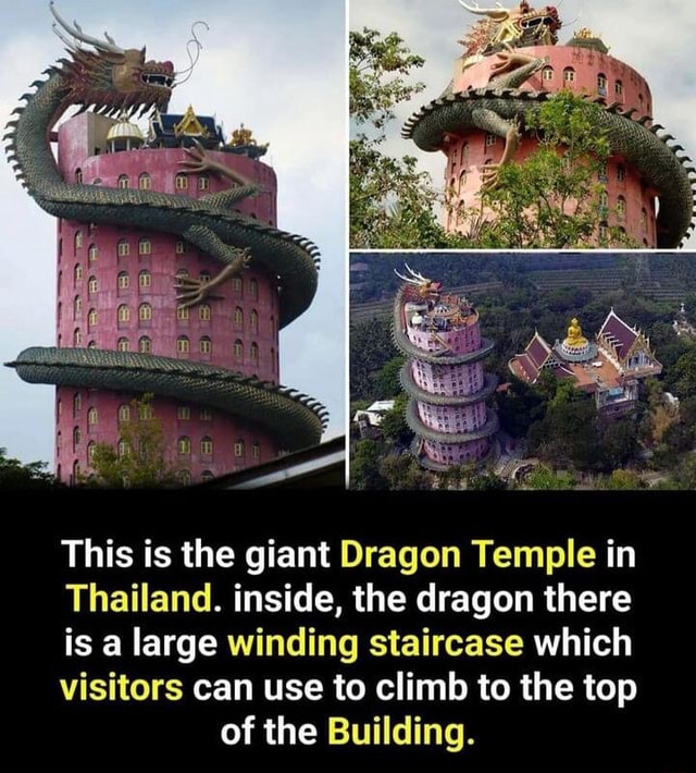 This is the giant Dragon Temple in Thailand. inside, the dragon there ...
