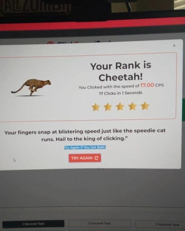 Your Rank is Cheetah! You Clicked with the speed of 7.00 cps 17 Clicks ...